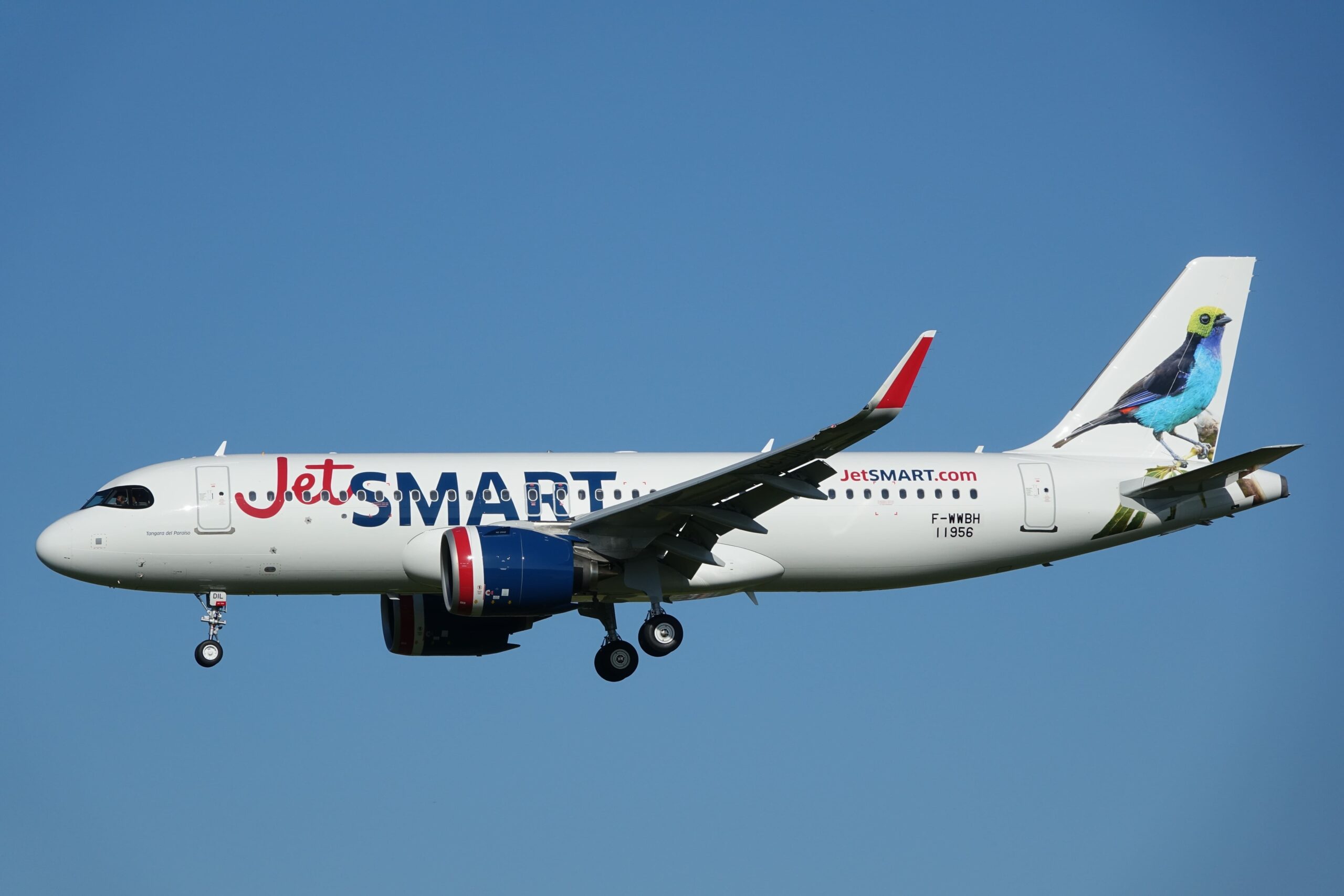 JetSmart Airlines: Up to 50% OFF on Domestic and International Flights